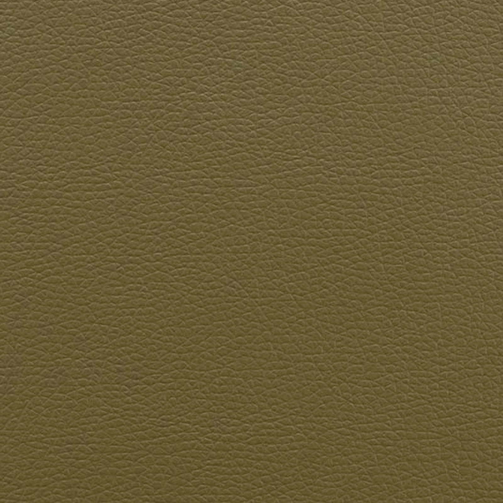 Buy Russet One Seater Olive Green Leatherette Sofa Online at Durian