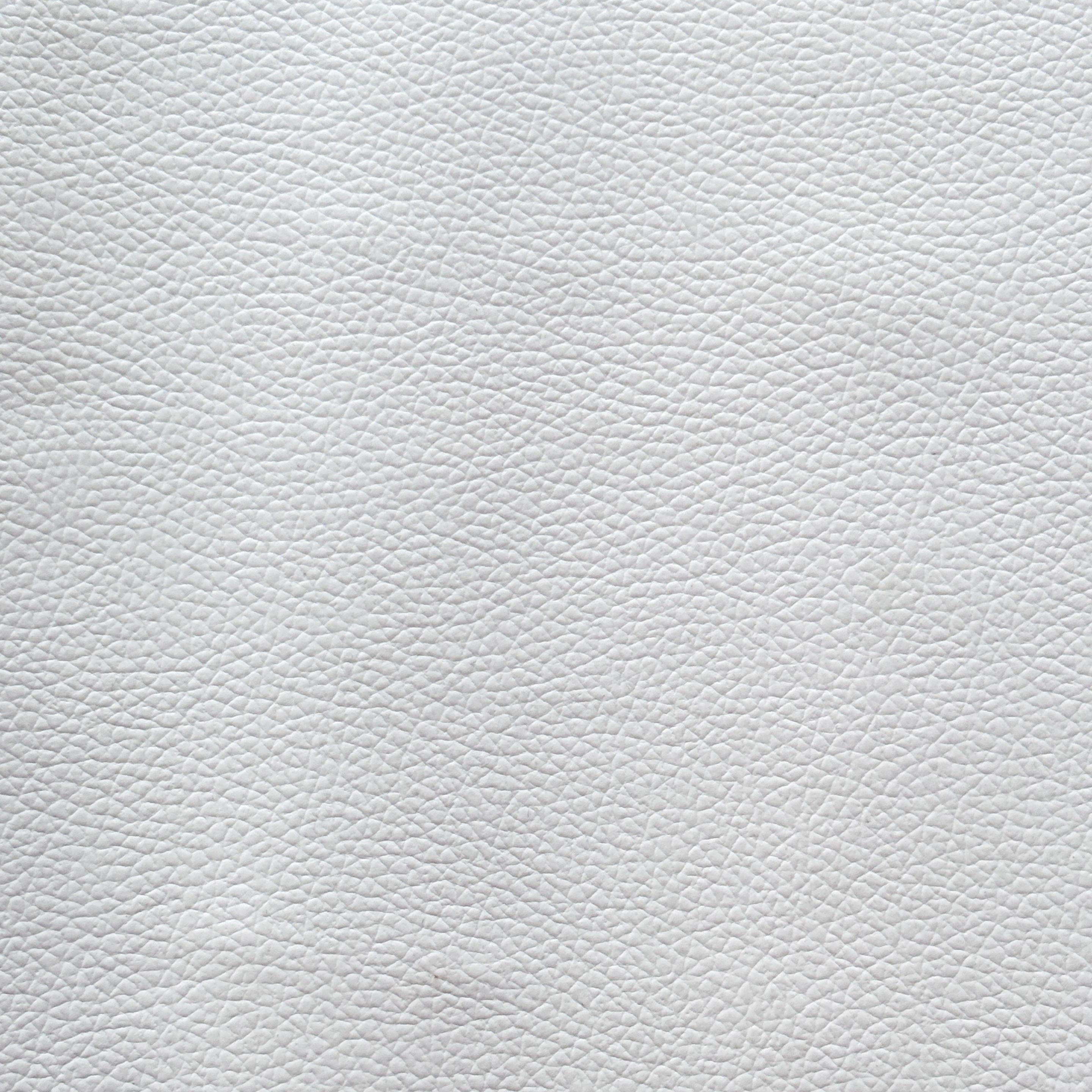 Buy Cambert Powder White Leatherette King Bed Online at Durian