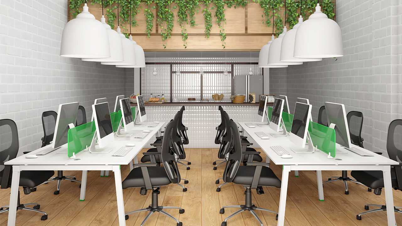 Easy Steps to Design an Eco-Friendly Office | Durian